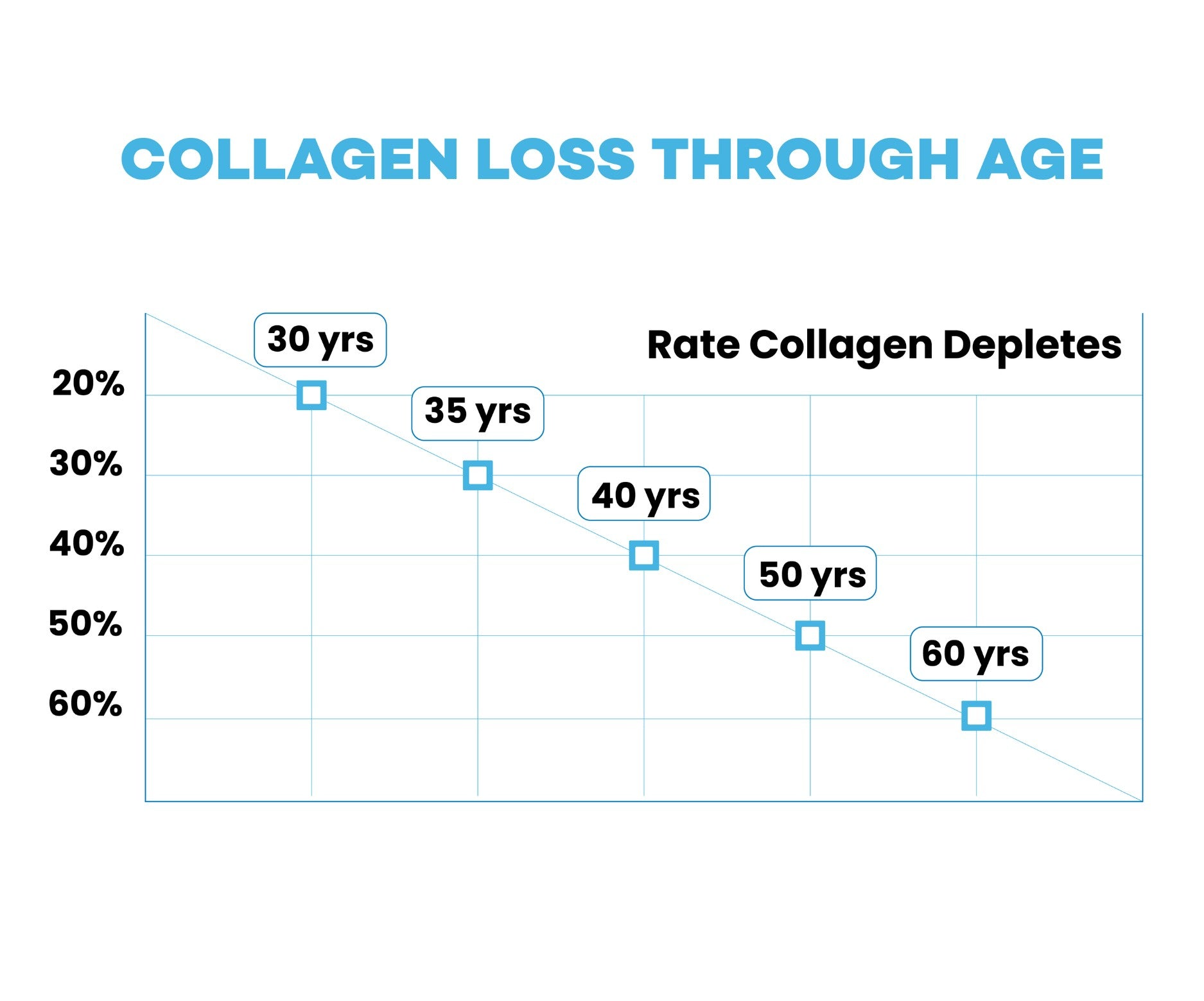 Collagen PRO • Bio-Peptides + High Protein SuperBlend – Bodytivy